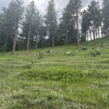 Sunshine Canyon Trail, Colorado - 636 Reviews, Map | AllTrails