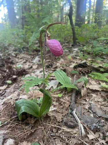 Best Hikes and Trails in Indian Ridge Reservation | AllTrails