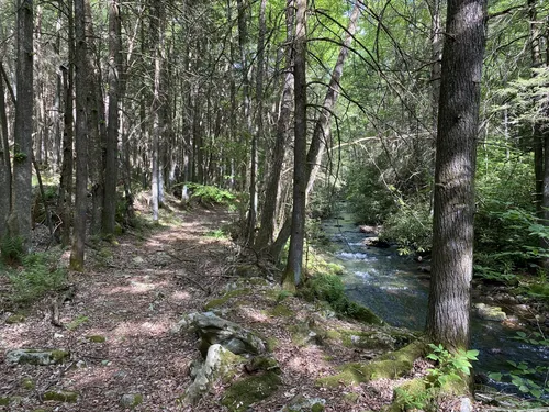 Best Hikes and Trails in The Hook Natural Area | AllTrails