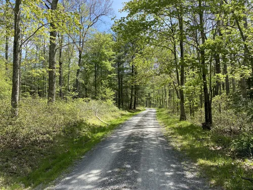 Best Hikes and Trails in The Hook Natural Area | AllTrails