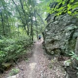 Lula Lake Land Trust Durham Trail System, Georgia - 61 Reviews, Map ...