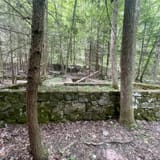 Lula Lake Land Trust Durham Trail System, Georgia - 61 Reviews, Map ...