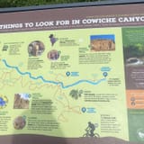 Cowiche Canyon Trail, Washington - 541 Reviews, Map | AllTrails