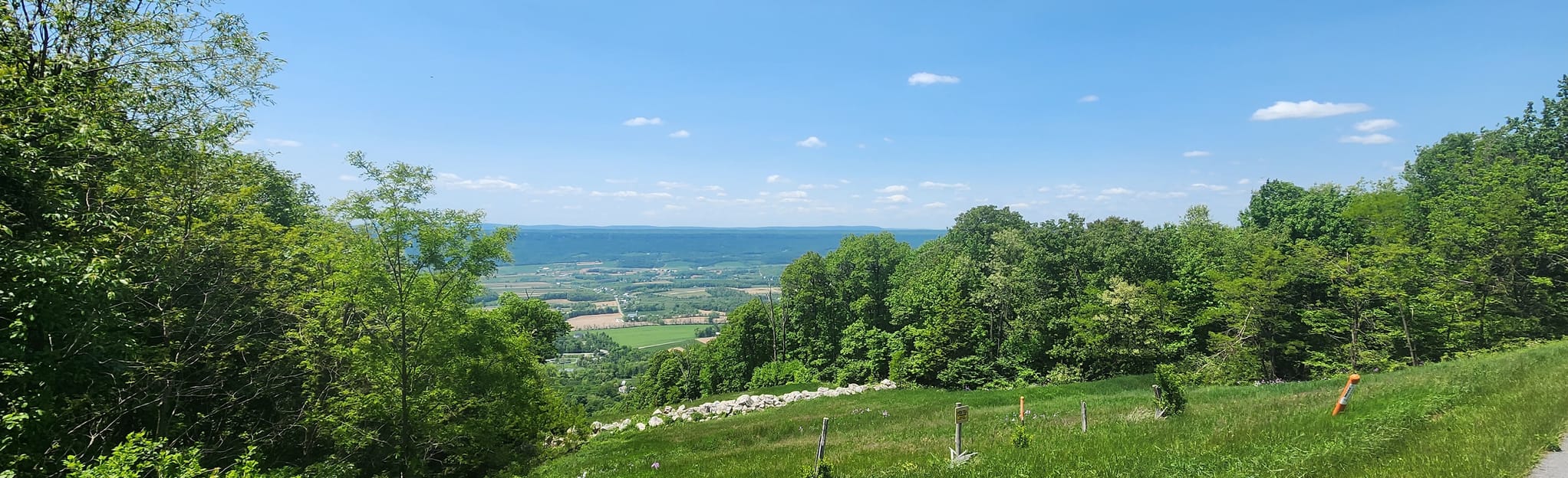 Tuscarora Mountain Trail, Pennsylvania - 30 Reviews, Map | AllTrails