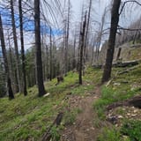 Natural Rock Arch Trail, Oregon - 198 Reviews, Map | AllTrails