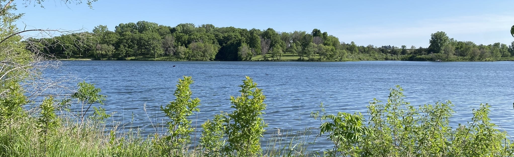 Prairie Rose Lake Loop, Iowa - 41 Reviews, Map | AllTrails