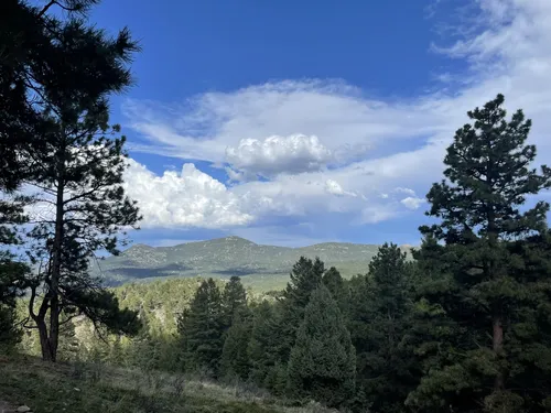 10 Best Trails and Hikes in Evergreen | AllTrails