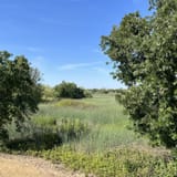 The Meadows Slough Trail, California - 382 Reviews, Map | AllTrails