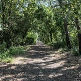 The Meadows Slough Trail, California - 382 Reviews, Map | AllTrails