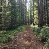 Timothy Lake Loop, Oregon - 290 Reviews, Map | AllTrails