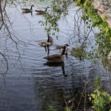 Quequechan River Rail Trail, Massachusetts - 177 Reviews, Map | AllTrails
