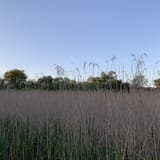 Quequechan River Rail Trail, Massachusetts - 177 Reviews, Map | AllTrails