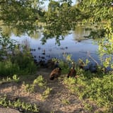 Quequechan River Rail Trail, Massachusetts - 149 Reviews, Map | AllTrails