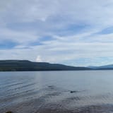 Timothy Lake Loop, Oregon - 290 Reviews, Map | AllTrails