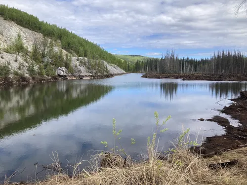 Best Hikes and Trails in Chena River State Recreation Area | AllTrails