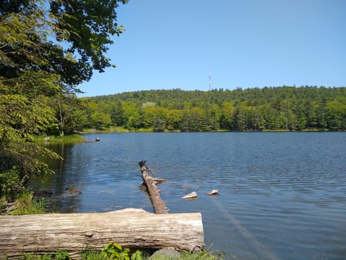 Best Hikes and Trails in Indian Brook Park | AllTrails