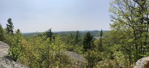 Best Forest Trails in Lac-Ernest | AllTrails