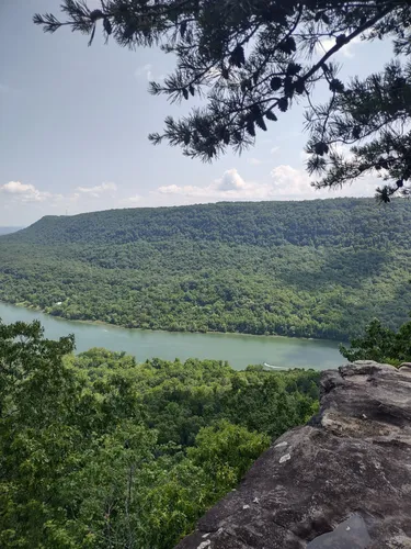 10 Best Hikes and Trails in Prentice Cooper State Forest | AllTrails