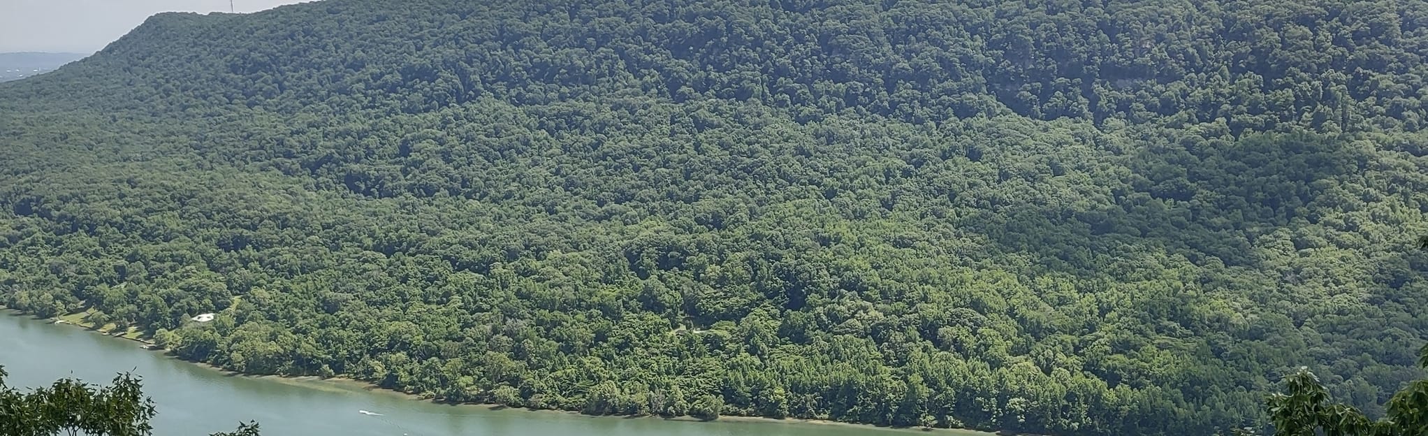 Edward's Point Trail, Tennessee - 2,355 Reviews, Map | AllTrails