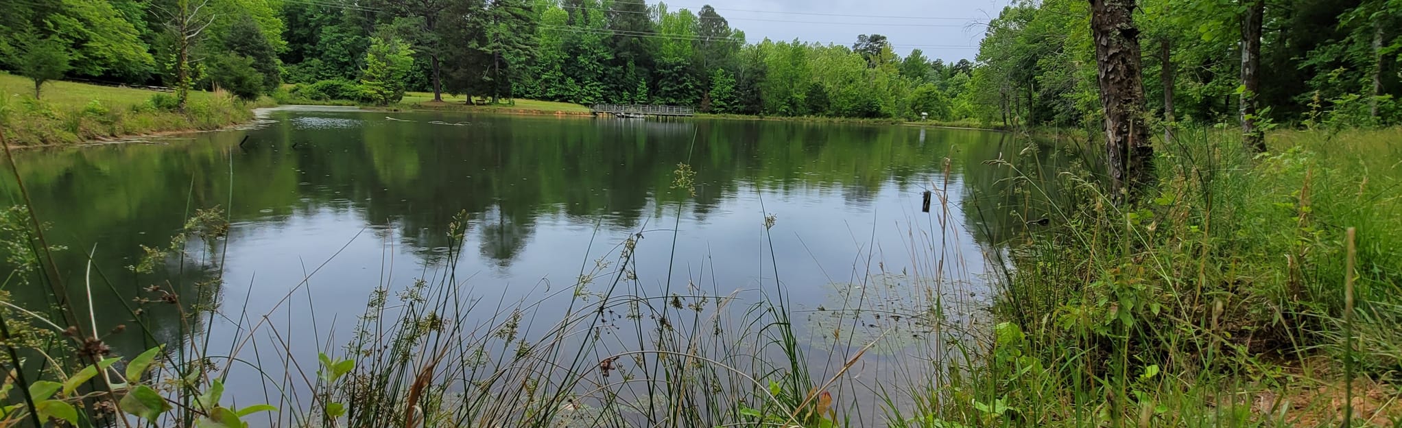 AllTrails | Brumley Nature Preserve Loop: 352 Reviews, Map - North Carolina