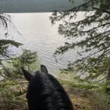 Upper Priest Lake Navigation Trail, Idaho - 251 Reviews, Map | AllTrails