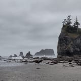 Rialto Beach Trail, Washington - 330 Reviews, Map | AllTrails