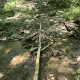 Old Loggers Path, Pennsylvania - 626 Reviews, Map | AllTrails