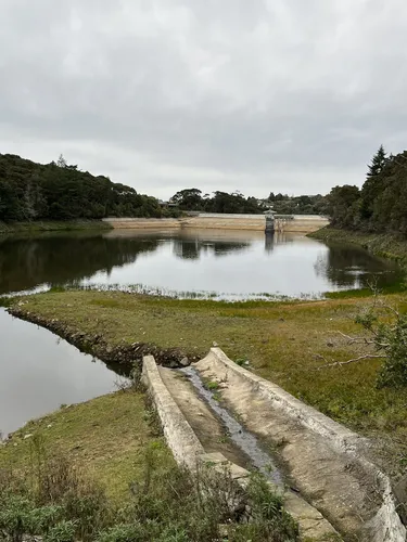 Best Hikes and Trails in Mount Cargill Scenic Reserve | AllTrails