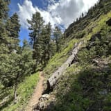 Sutton/Neosho Mine Trail, Colorado - 348 Reviews, Map | AllTrails