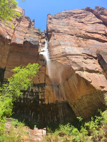 10 Best Forest Trails in Utah | AllTrails