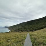 Palm Jungle Loop Track, New South Wales, Australia - 339 Reviews, Map ...
