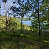 Morrison and Rimrock Trail Loop, Pennsylvania - 430 Reviews, Map ...
