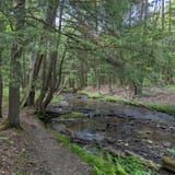 Morrison and Rimrock Trail Loop, Pennsylvania - 441 Reviews, Map ...