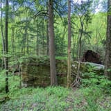 Morrison and Rimrock Trail Loop, Pennsylvania - 441 Reviews, Map ...