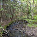 Morrison and Rimrock Trail Loop, Pennsylvania - 441 Reviews, Map ...