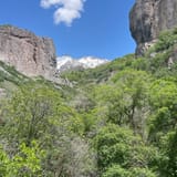 Dry Canyon Trail, Utah - 515 Reviews, Map | AllTrails