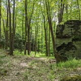 Morrison and Rimrock Trail Loop, Pennsylvania - 441 Reviews, Map ...