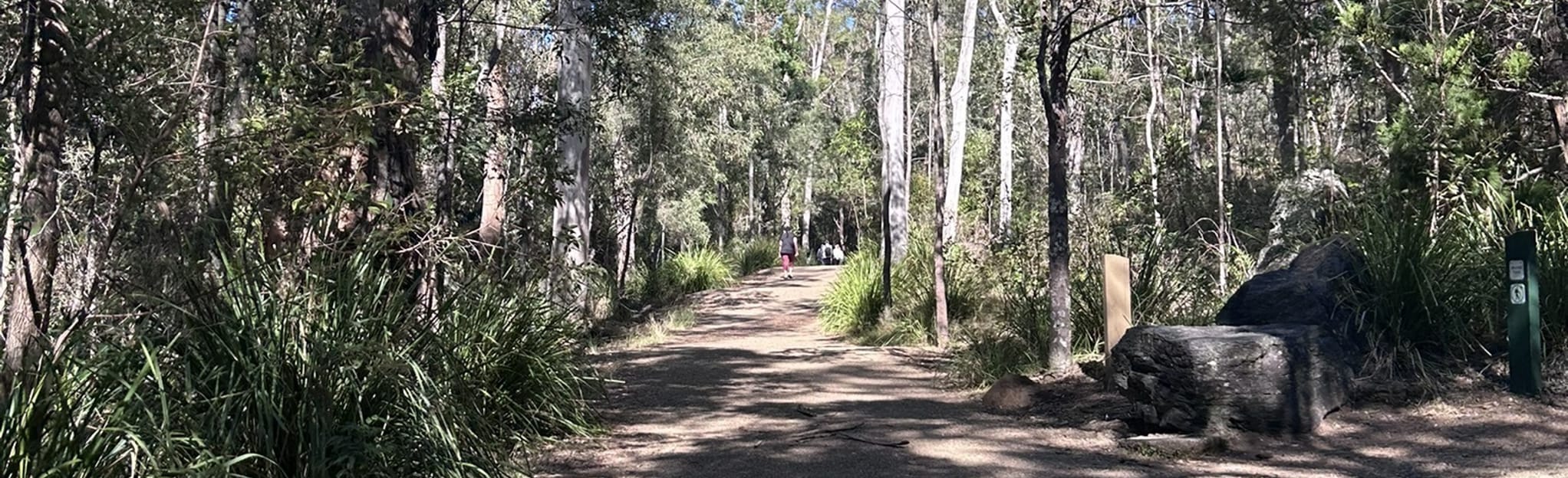JC Slaughter Falls via Summit Track and Aboriginal Art Trail: 234 foto ...