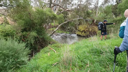 Best Hikes and Trails in Holden Flora Reserve | AllTrails