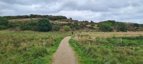 10 Best Trails and Hikes in Denmark | AllTrails