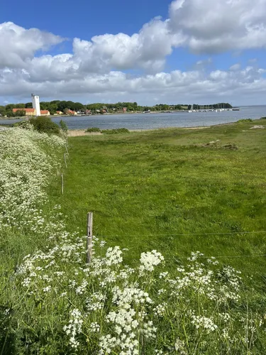 Best Beach Trails in Hurup Thy | AllTrails