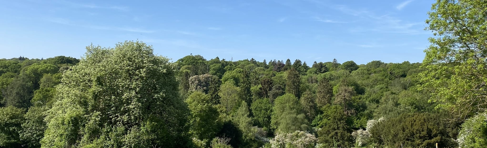 Woodmansterne Circular, Surrey, England - 9 Reviews, Map | AllTrails