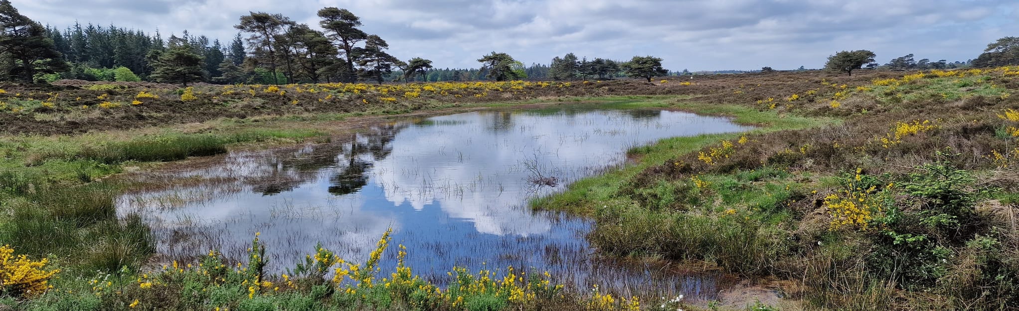 Helm Polde Rundt, Region of Southern Denmark, Denmark - 10 Reviews, Map ...