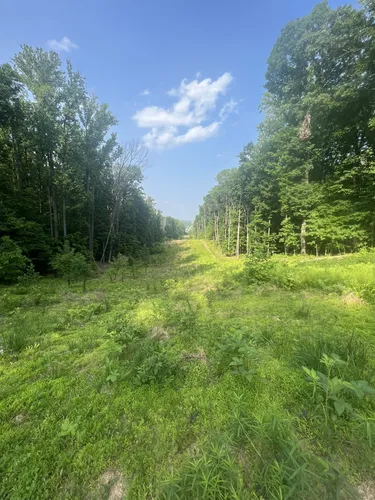 Best Short Trails in Oregon Ridge Park | AllTrails