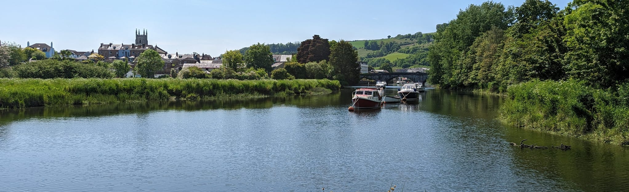 Totnes Castle - River Dart Circular, Devon, England - 18 Reviews, Map ...