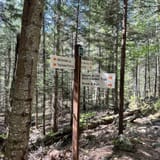 Goodnow Mountain Trail, New York - 1,209 Reviews, Map | AllTrails