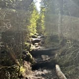 Goodnow Mountain Trail, New York - 1,209 Reviews, Map | AllTrails