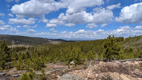 10 Best Hikes and Trails in State Forest State Park | AllTrails