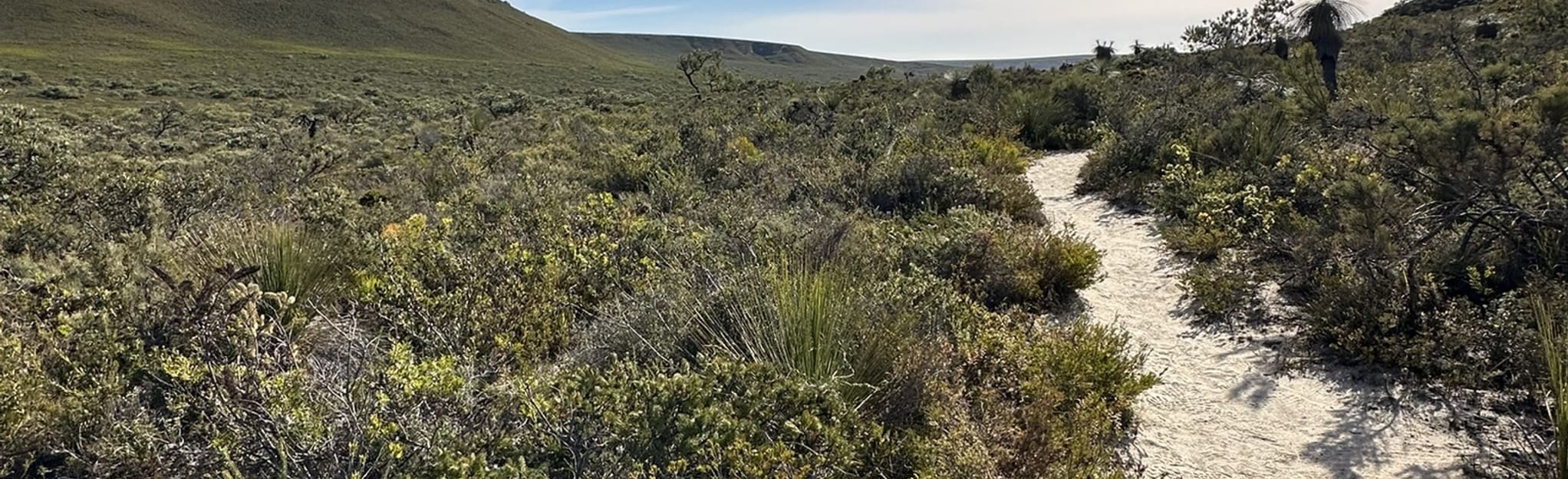Gardener Trail to Mount Lesueur Loop: 159 foto - Australia Occidentale ...