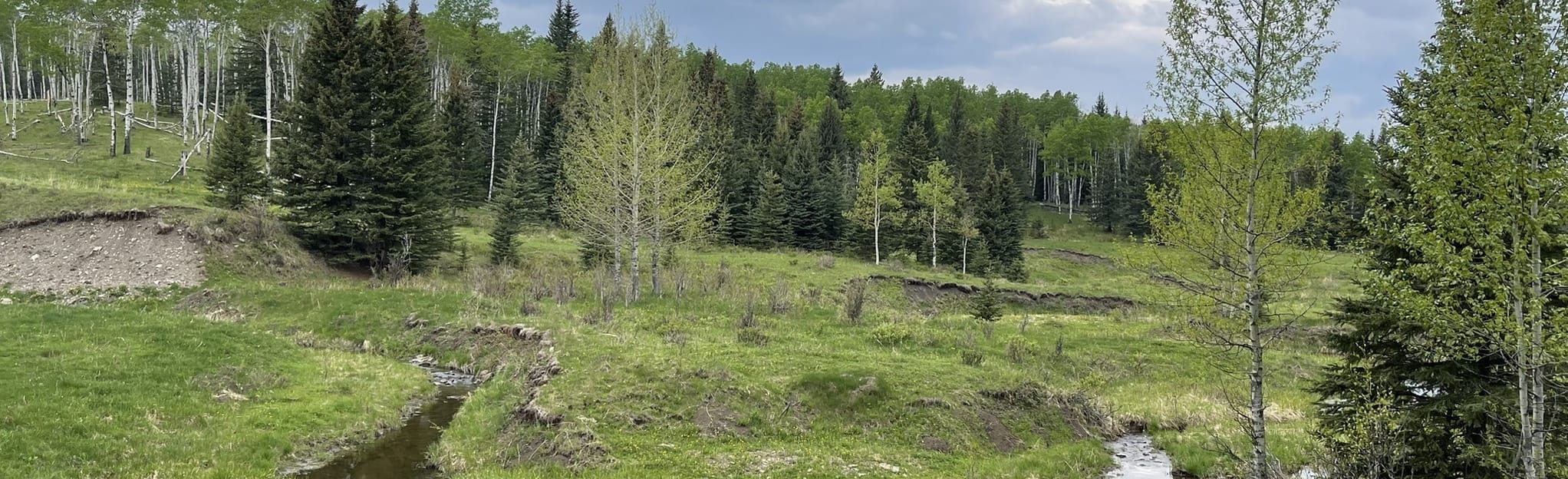 Death Valley and Windy Point Trail: 23 Reviews, Map - Alberta, Canada ...